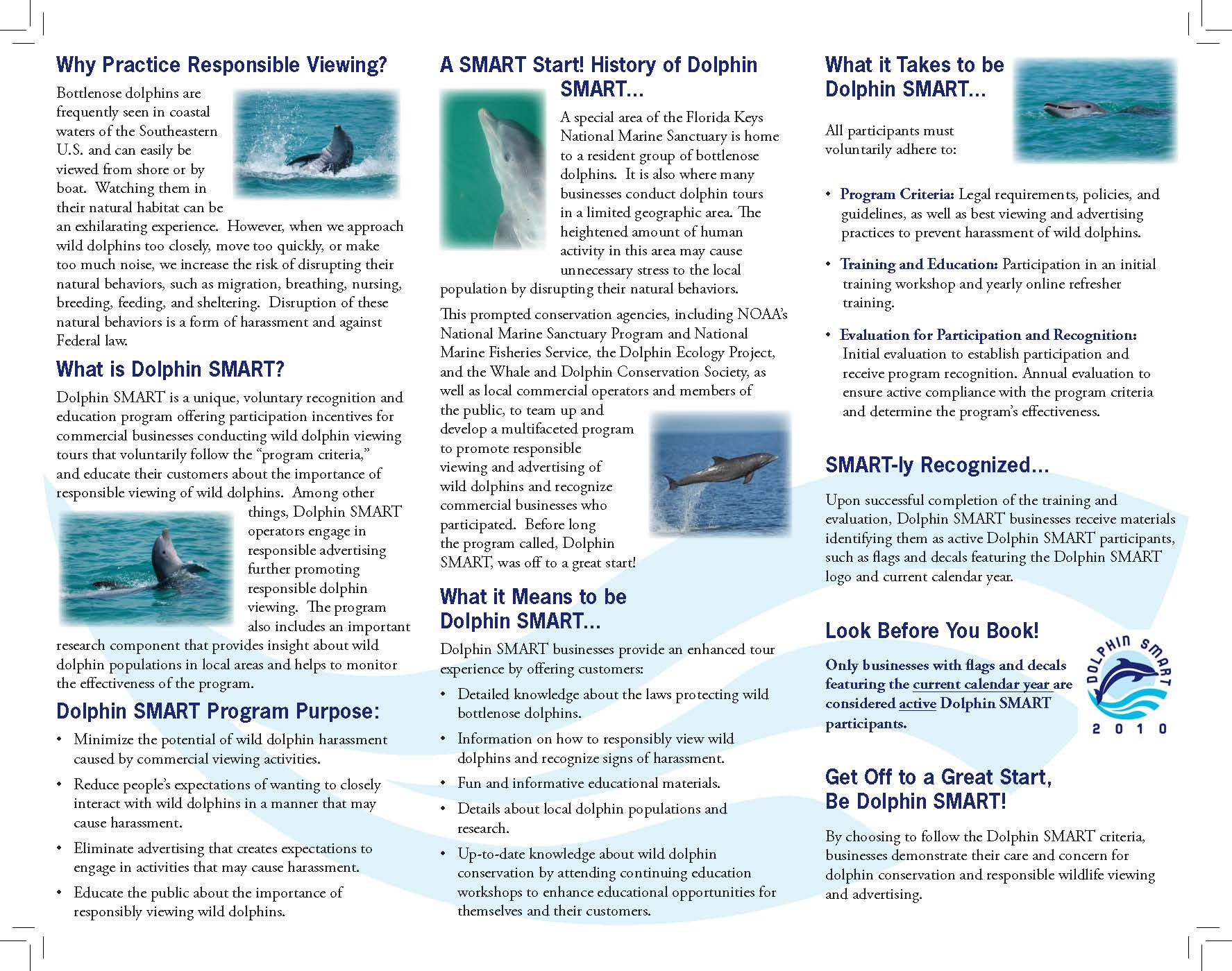 Brochures – Don't Feed Wild Dolphins